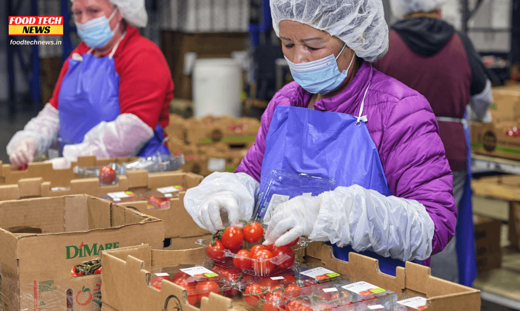 Food Future Foundation is Hiring for the Position of Programme ...