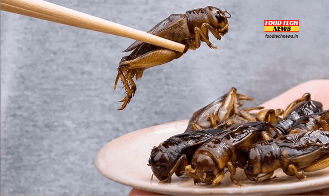 Singapore has Approved 16 Insects species as food, Including Silkworms ...
