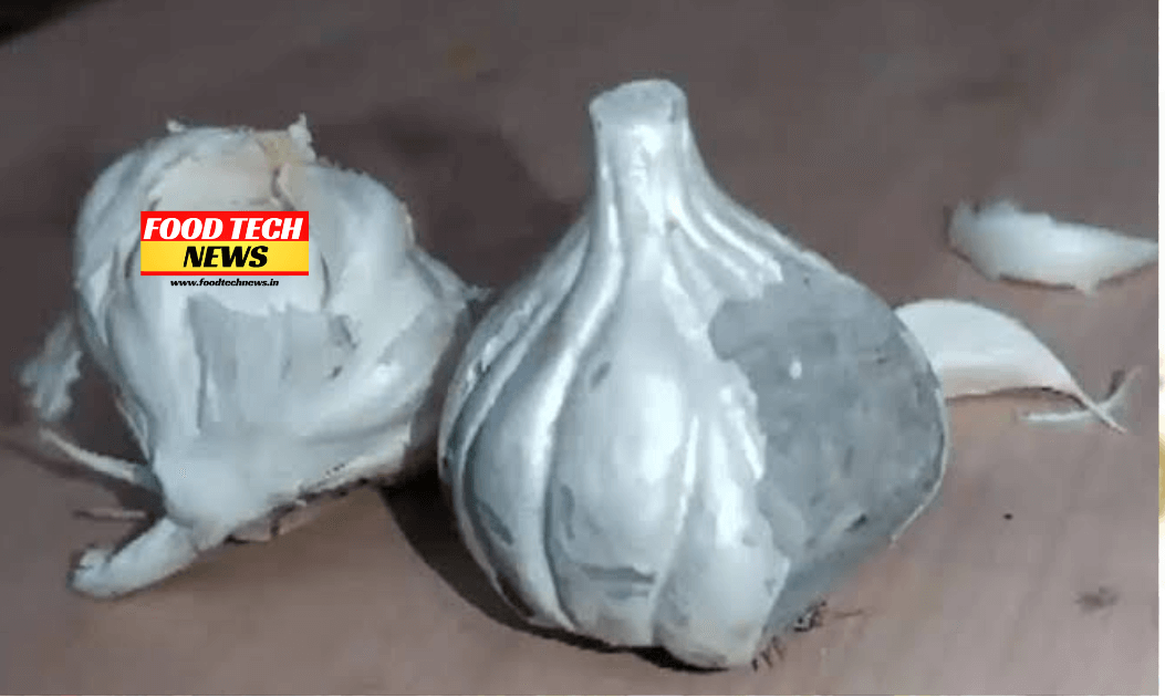 Fake garlic made of cement found in Maharashtra’s Akola, the video went ...